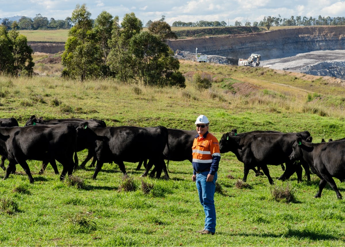 The Bloomfield group